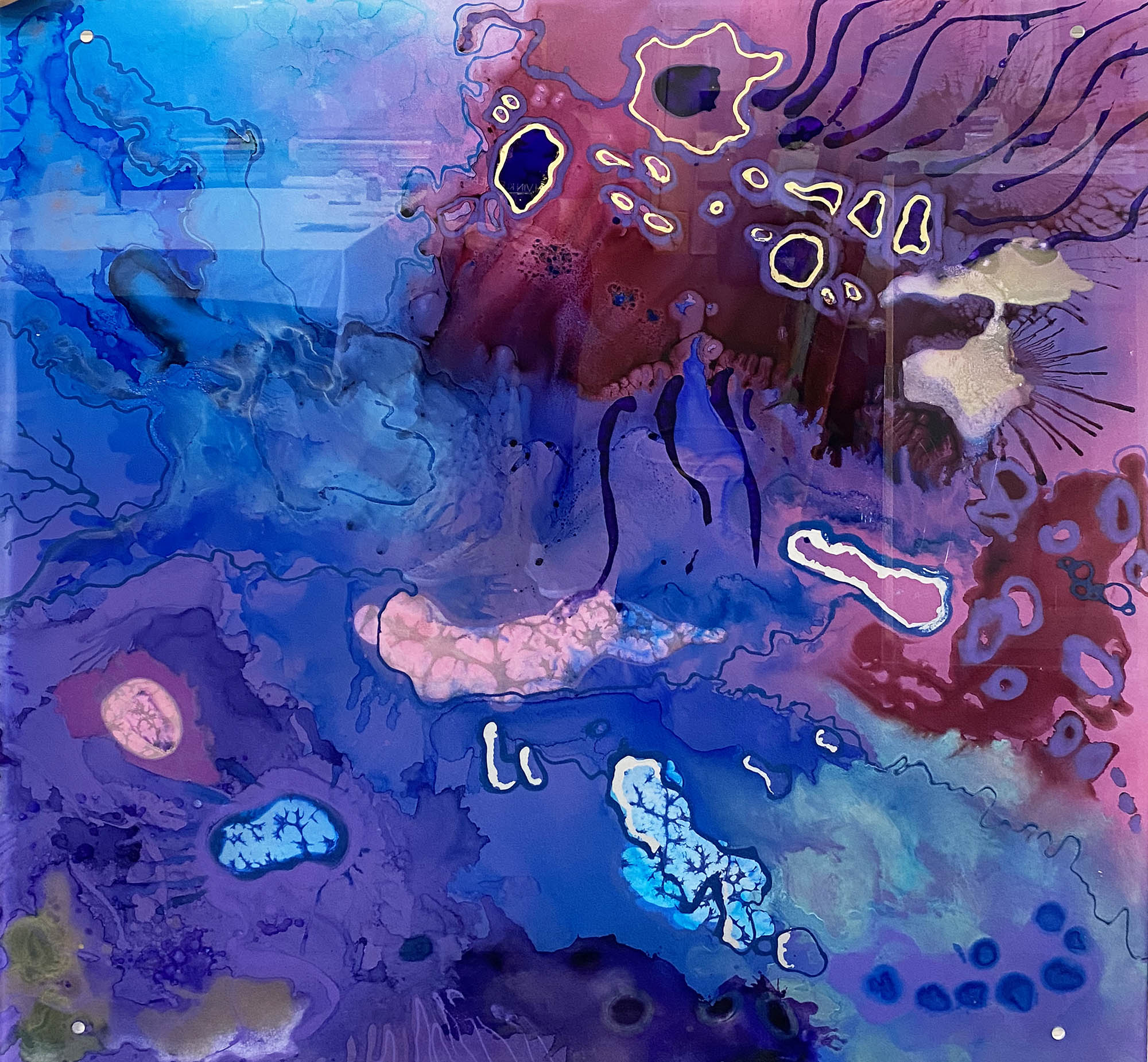 Curious Abstract SOLD - Lisa de Boer