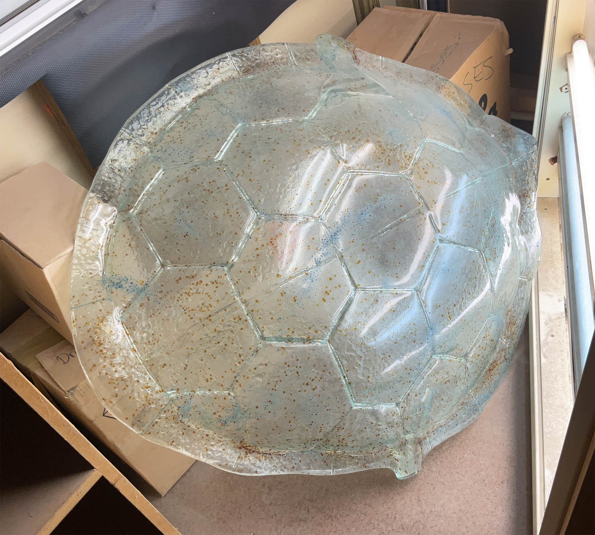 Turtle Shell - Lisa de Boer